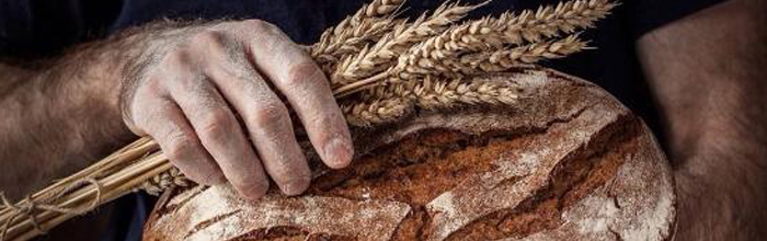 Bikken & Bakken - De Nationale Franchise Gids